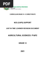 E 2025 Grade 12 Agric Practical Investigation Memo | PDF | Digestion