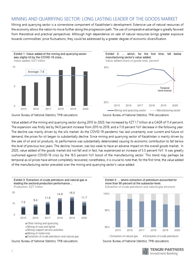 Mining and Quarrying Sector Report 1641318068 | PDF | Mining | Labour ...