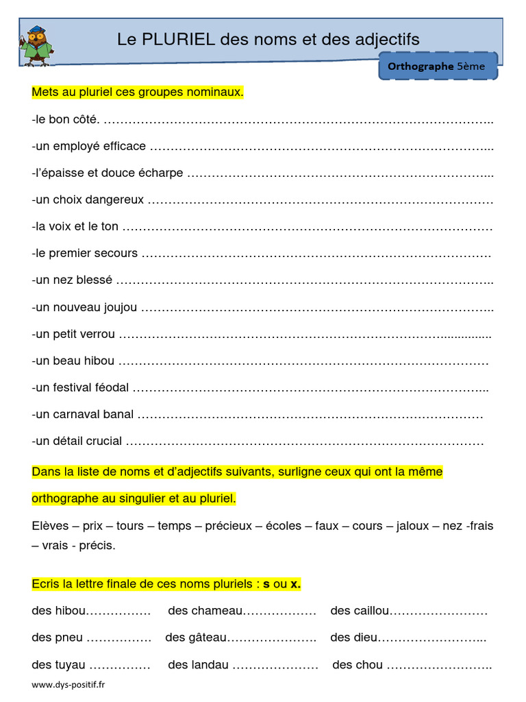 Exercices sur le pluriel des noms | PDF | Linguistique
