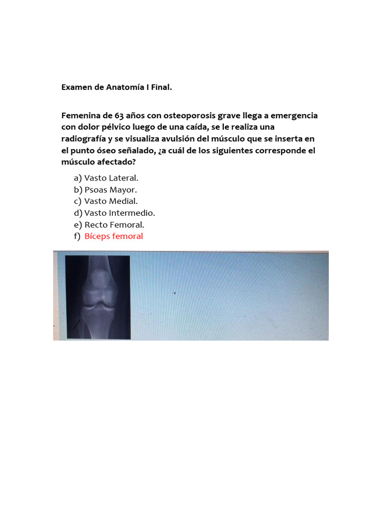 Abrir Examen de Anatomía I Final (Lab) 2 | PDF | Tejido suave | Anatomía humana
