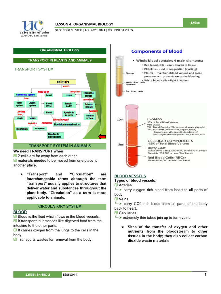Transport Systems in Organisms | PDF | Respiratory System | Blood
