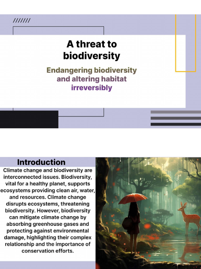 Geography Presentation | PDF