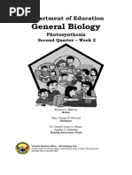 Life Sciences Gr11 Notes Photosynthesis | PDF | Photosynthesis ...