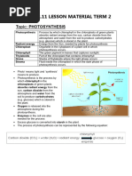 8 Life Sciences Grade 12 PHOTOSYNTHESIS | PDF | Photosynthesis ...