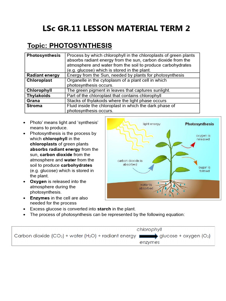 Lesson Material LSC Gr11 Term 2 | PDF | Cellular Respiration | Digestion