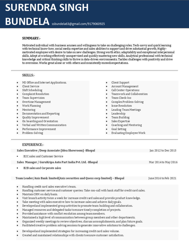 SURENDRA BUNDELA - Updated | PDF | Sales | Business Economics