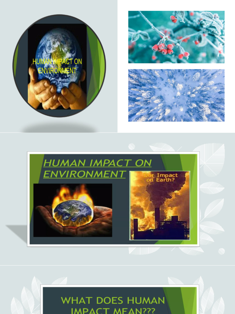 Human Impact On Environment | PDF