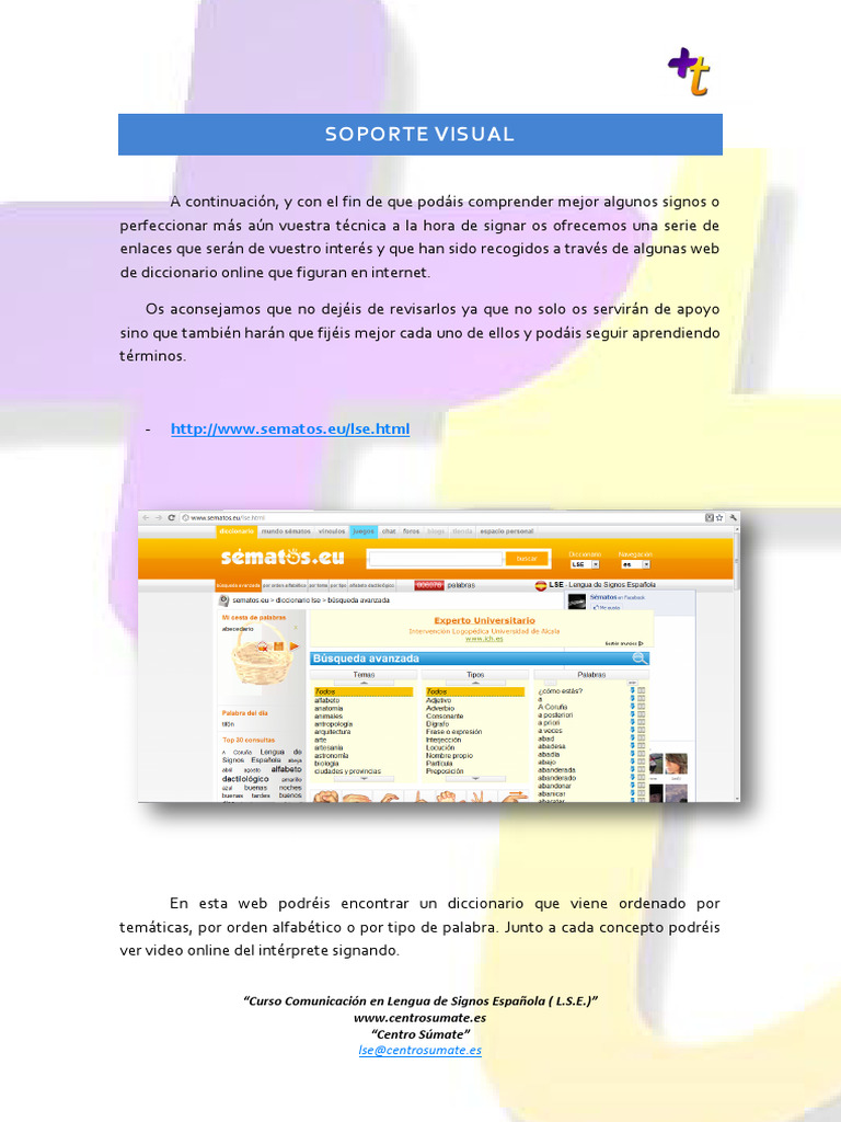 SOPORTE VISUAL | PDF | Diccionario