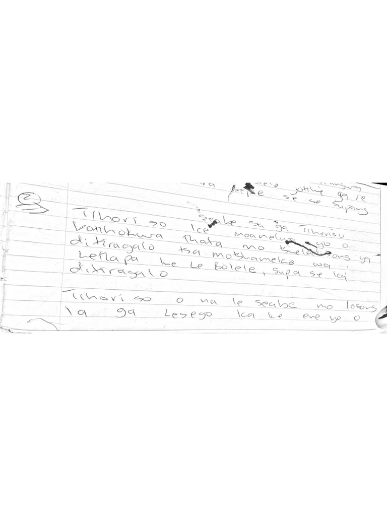 Seabe Tlhoriso | PDF