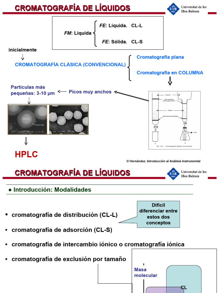 3. Fundamentos Cromatografกa de lกquidos | PDF | Cromatografía | Elución