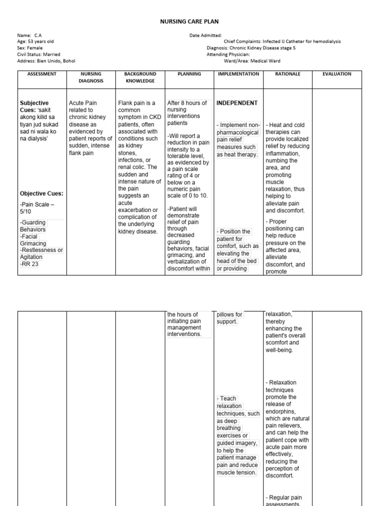 Nursing Care Plan: Subjective Cues: Sakit Independent | Download Free ...