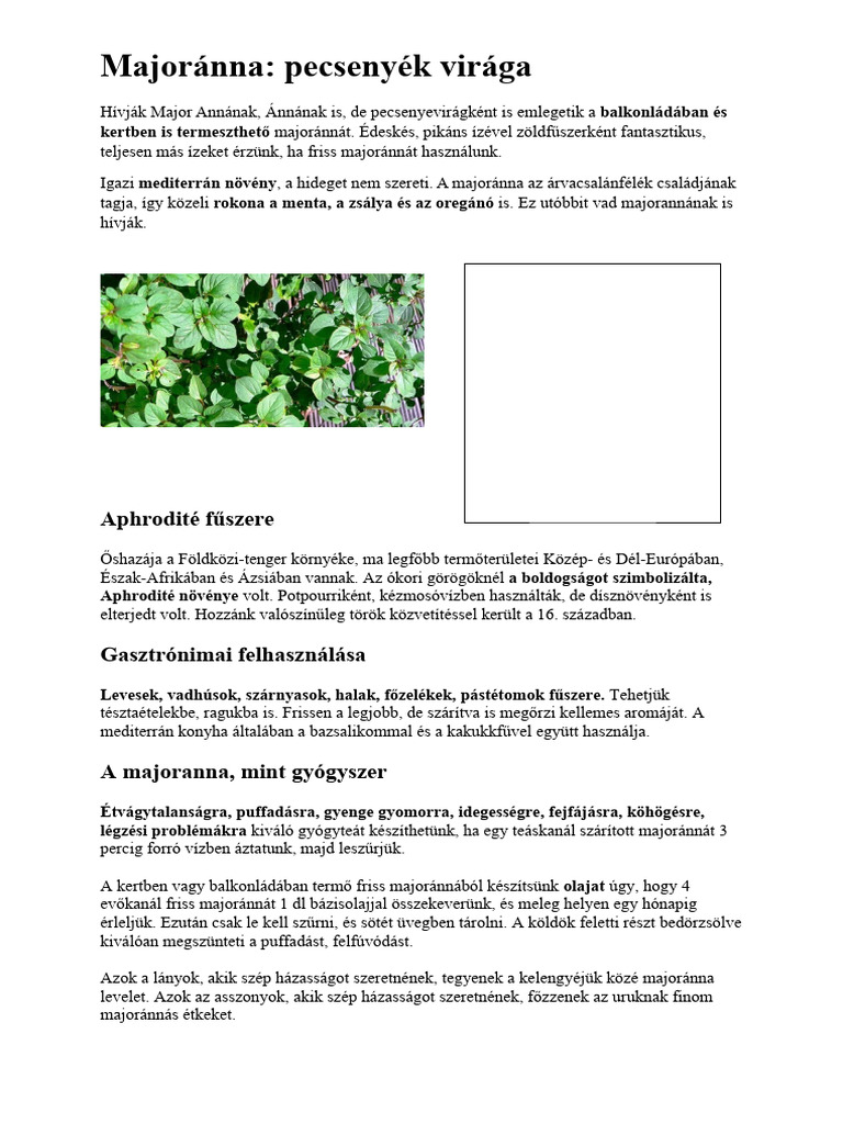 Majoránna | PDF