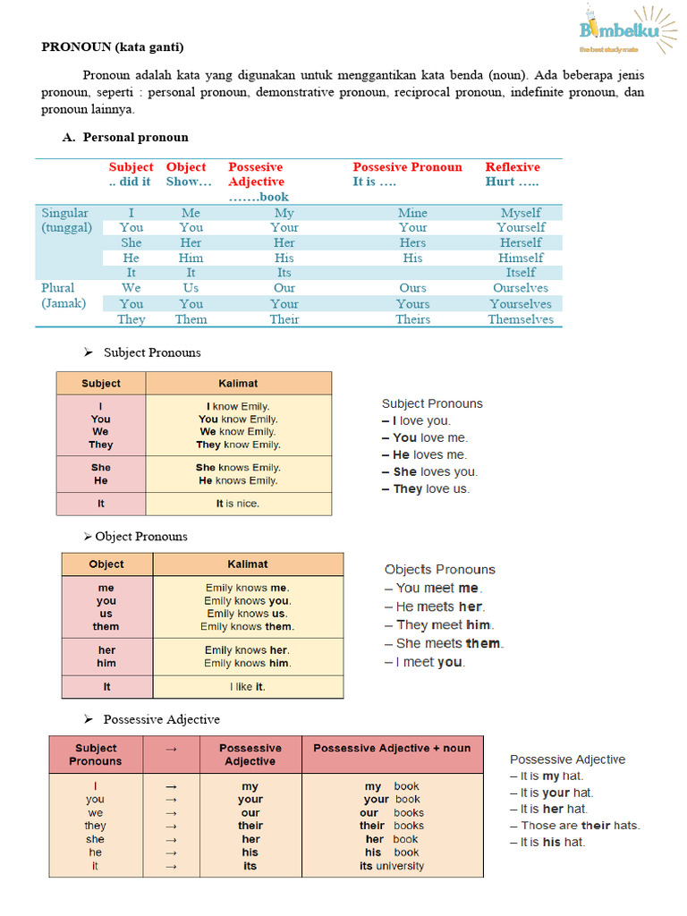 PRONOUN | PDF | Pronoun | Plural