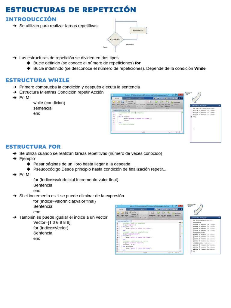 Estructuras de Repetición | PDF