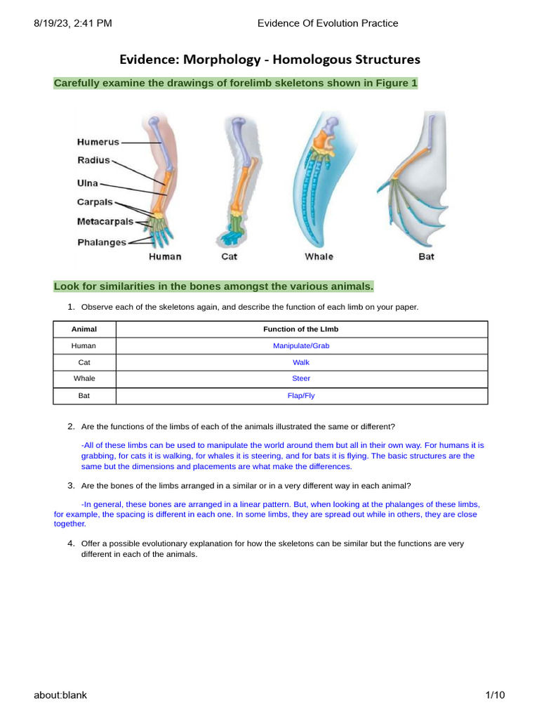 Biochemistry Molecular Biology and Cell Biology (BIOSCI 52 ...