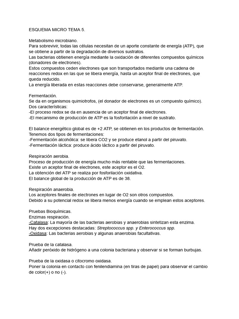 ESQUEMA MICRO TEMA 5 EL BUENO. | PDF | Respiración celular | Bioquímica