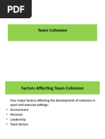 Sports Psych - Carron's Model | PDF | Leadership | Group Cohesiveness