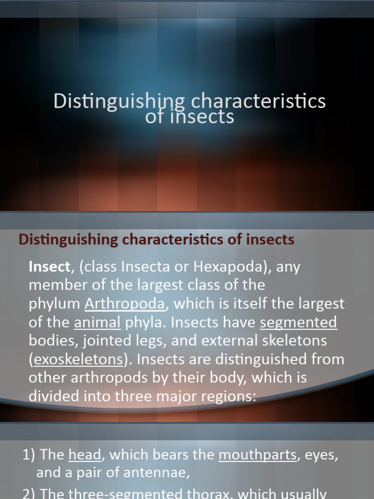Distinguishing Characteristics of Insects | PDF | Insects | Hexapoda