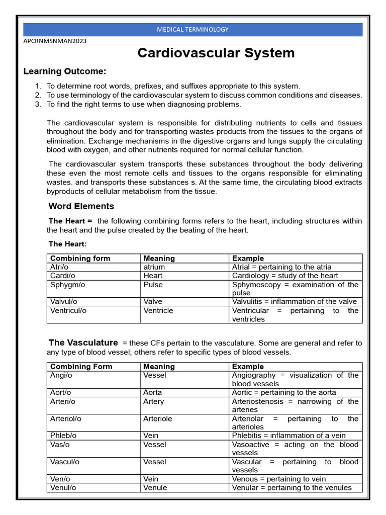 MED TERM Cardiovascular System | PDF | Heart | Blood Vessel