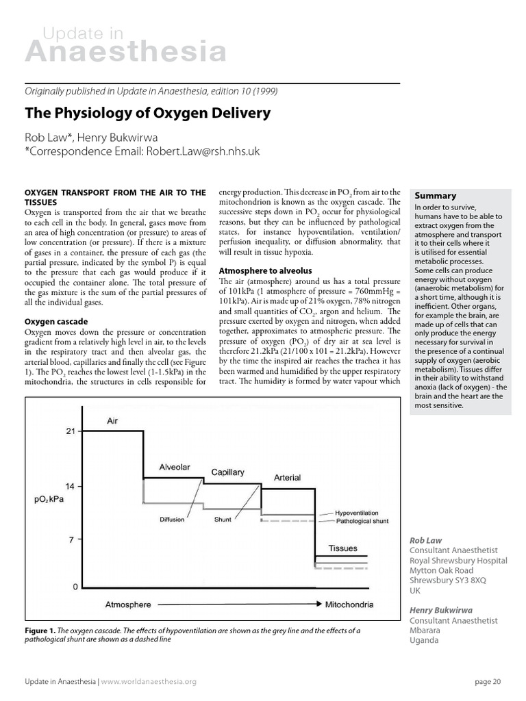 Uia 24 2 the Physiology of Oxygen Delivery | PDF | Lung | Breathing