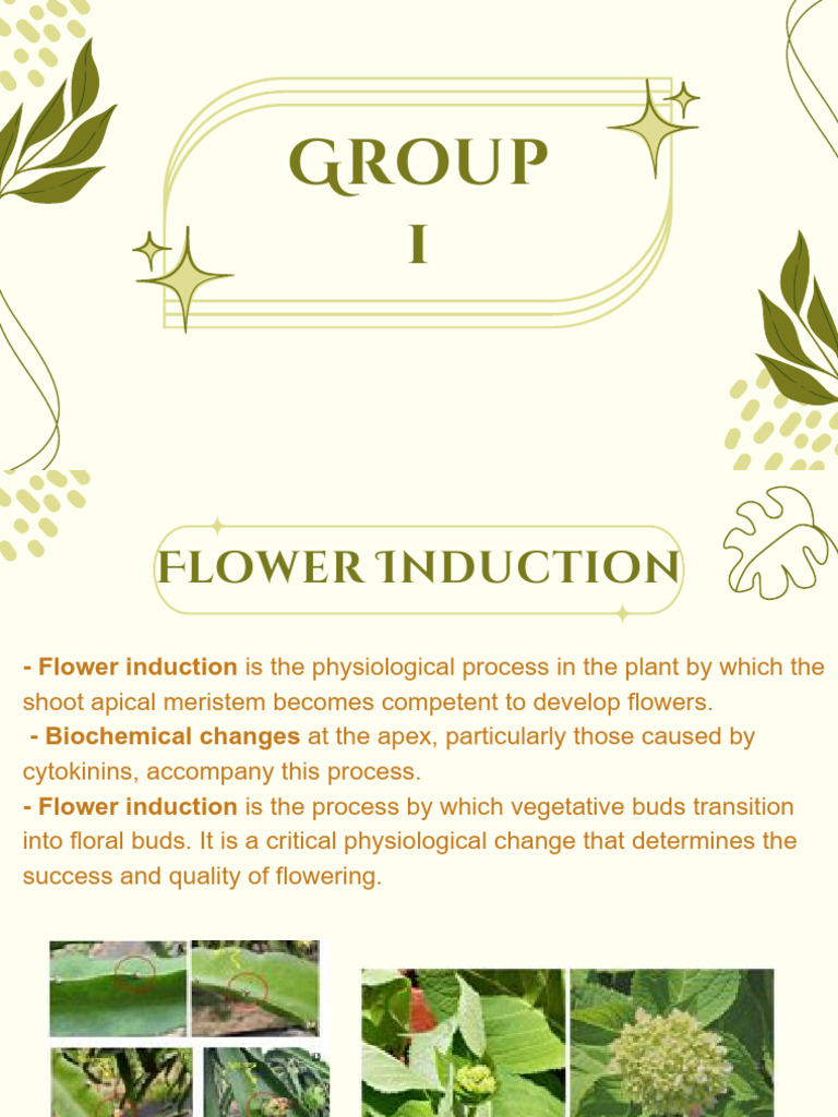 Plant Flowering Mechanisms | PDF | Plant Hormone | Flowers