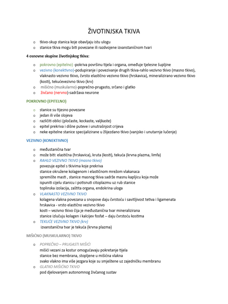 Životinjska Tkiva | PDF
