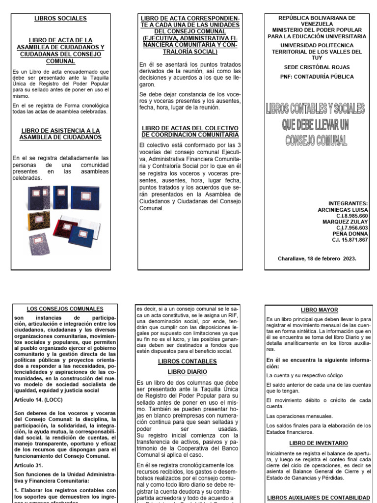 Triptico Libros Contables y Sociales | PDF | Contabilidad | Servicios financieros