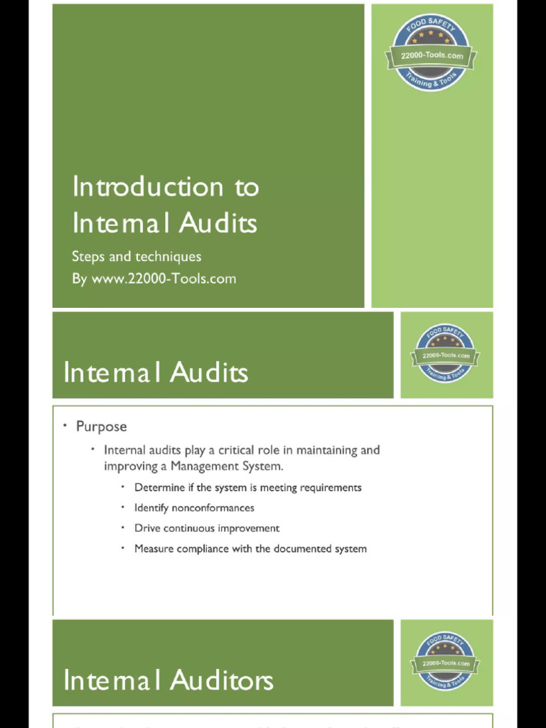 Internal Audit | PDF