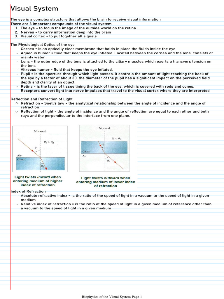 Biophysics of The Visual System | PDF | Optics | Eye