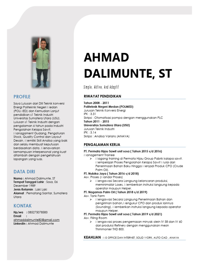 CV PDF | PDF | Teknologi & Rekayasa
