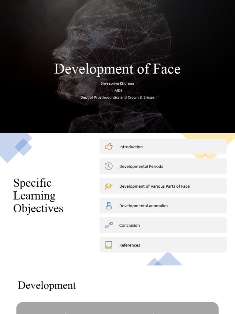 Development of Face - Anatomy | PDF | Human Nose | Anatomy