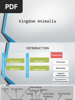 Kingdom Animalia - Phylum Summary Table | PDF | Gill | Zoology