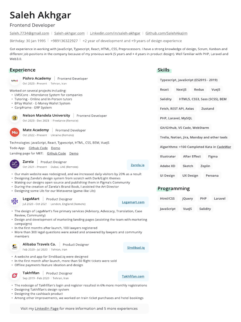 Saleh Akhgar: Frontend Developer | PDF | Cyberspace | Web Development