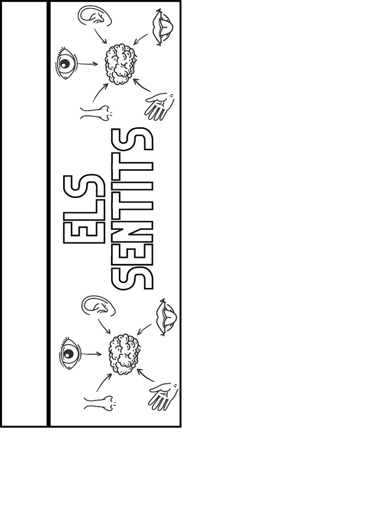 Els Sentits | PDF