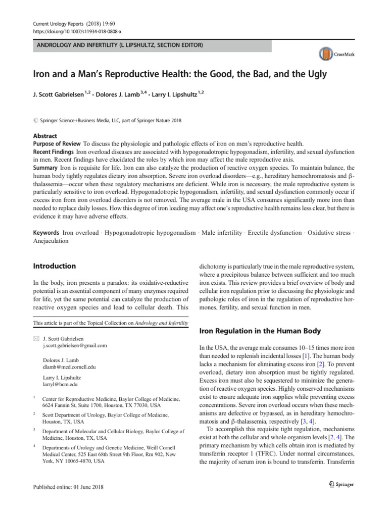 Iron and A Man 'S Reproductive Health: The Good, The Bad, and The Ugly ...