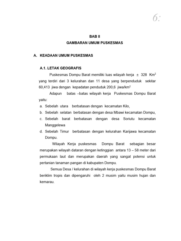 Bab II Gambaran Umum Puskesmas | PDF