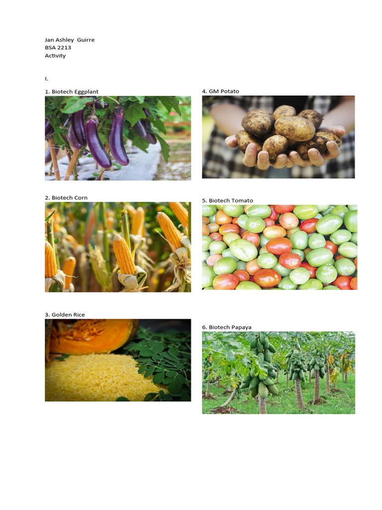 STS Act | PDF | Wellness