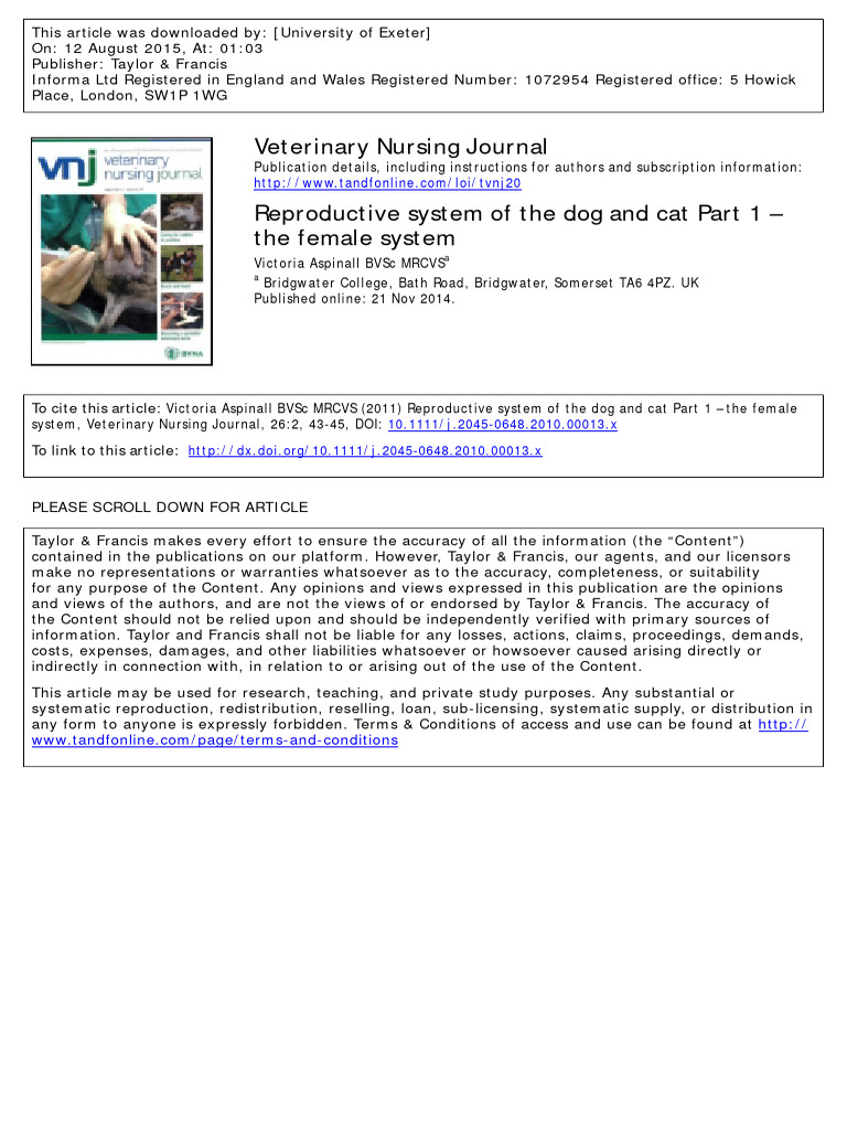 Female Reproductive System in Dogs & Cats | PDF | Uterus | Ovary