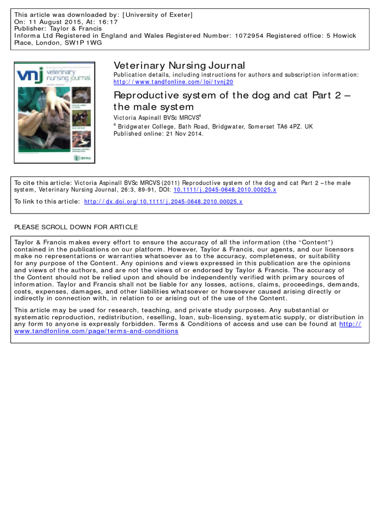 Aspinall2011 - Reproductive Male | PDF | Testicle | Anatomy