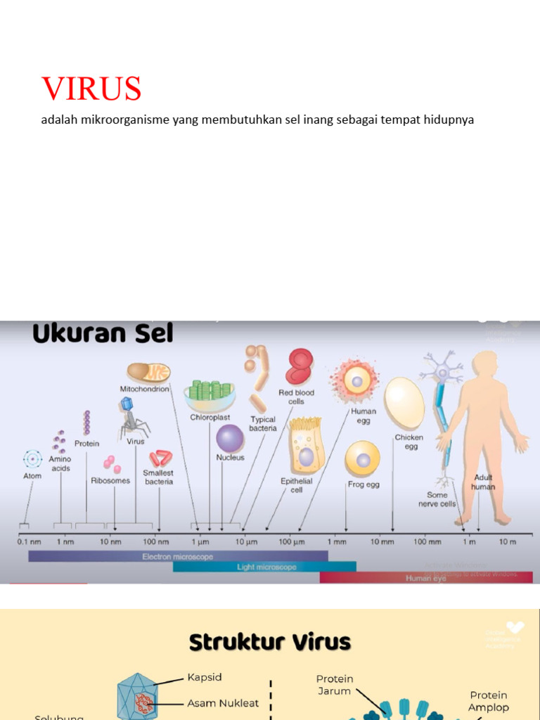 Virus: Mikroorganisme dan Sel Inang | PDF