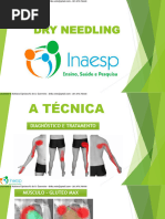 11 - Região Poplítea | PDF | Joelho | Anatomia humana