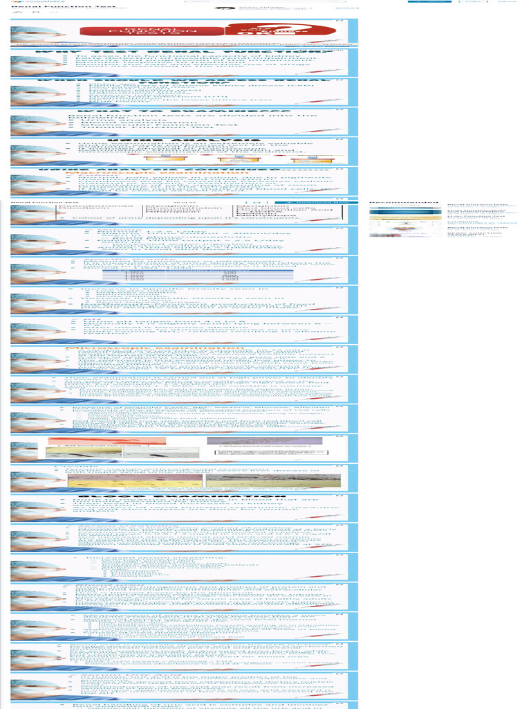 Renal Function Test Ppt 20 Pdf