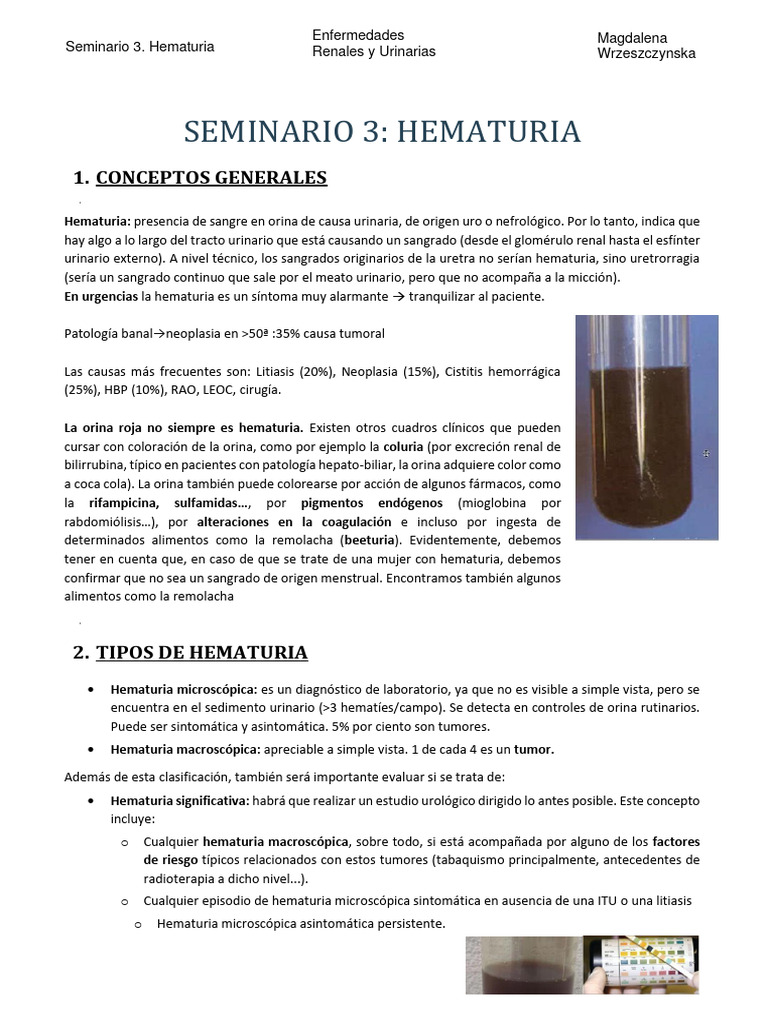 Hematuria | PDF | Infección del tracto urinario | Medicina