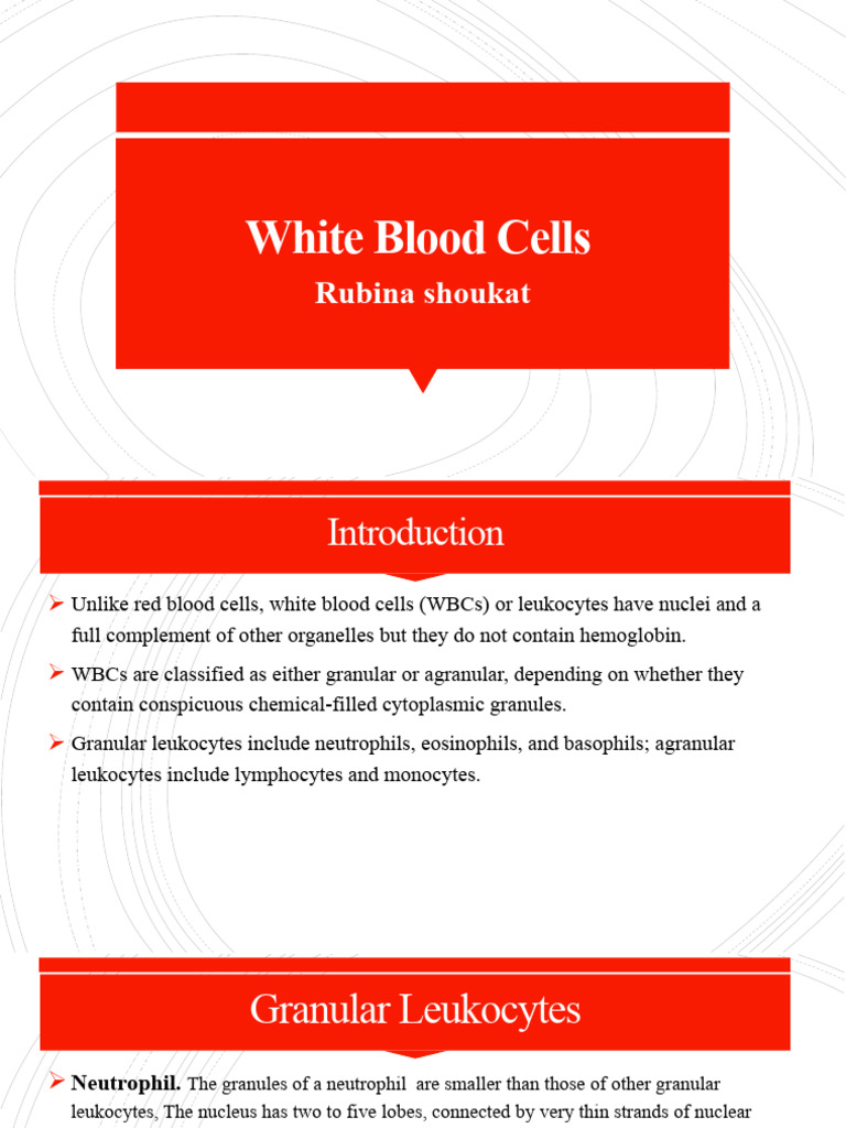 Understanding White Blood Cells and Immunity | PDF | Lymphatic System ...