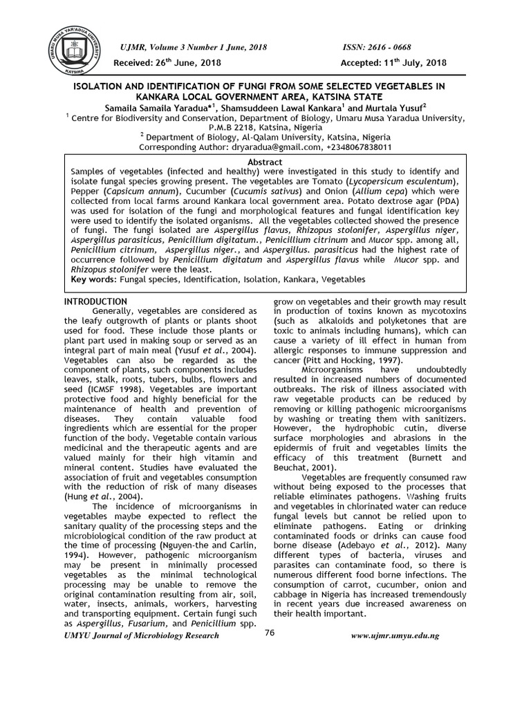 Fungal Isolation from Vegetables in Kankara | PDF | Fungus | Aspergillus