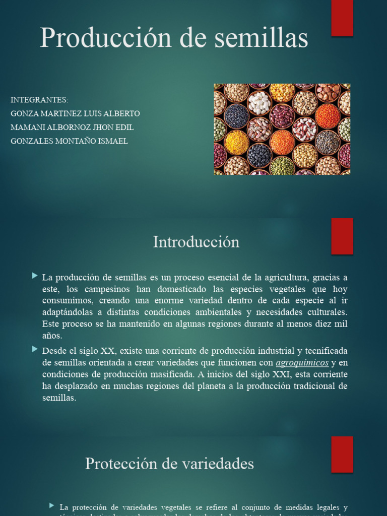 Producción de Semillas | Descargar gratis PDF | Fitomejoramiento | Semilla