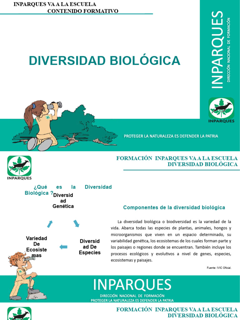 º4IVE Diversidad Biologica | PDF | Biodiversidad | Biología