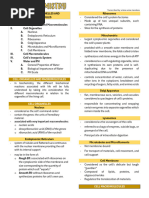 Regenerative Medicine Scaffolds and Angiogenesis | PDF | Angiogenesis ...