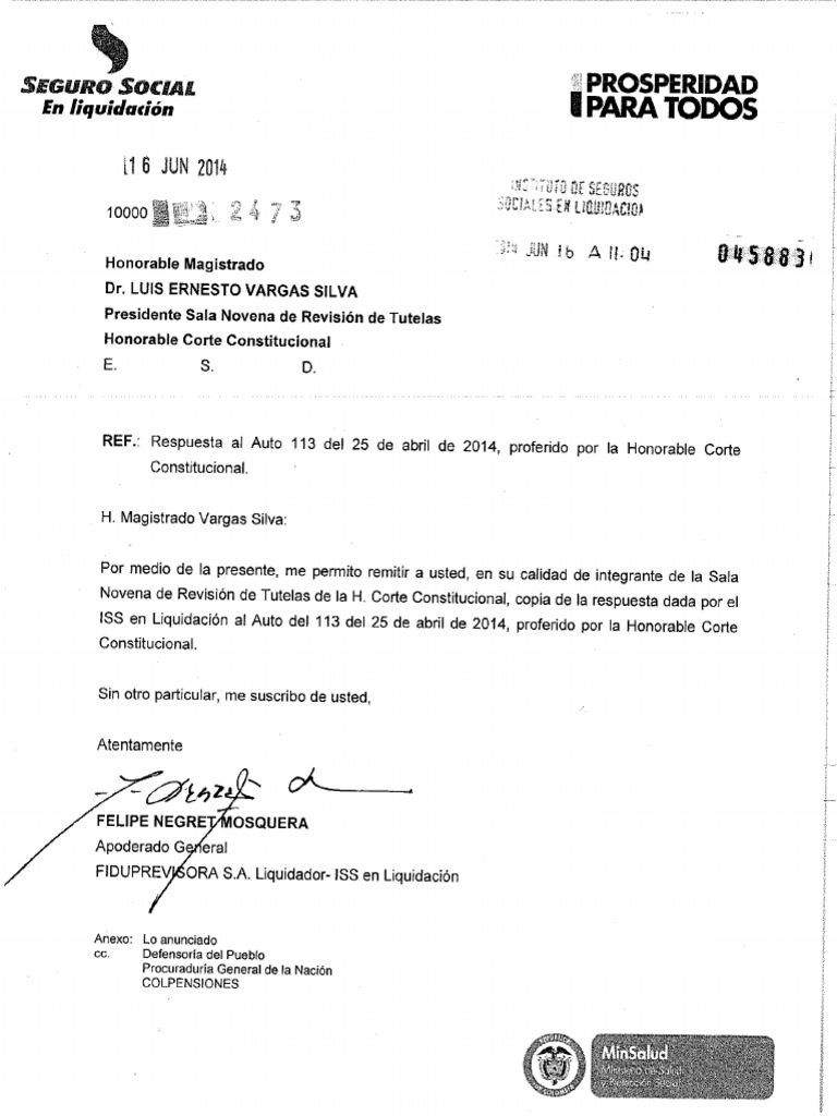 Informe 12 Iss | PDF