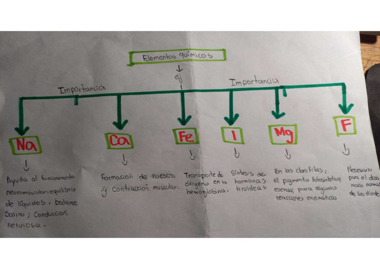 Organizador Gráfico | PDF